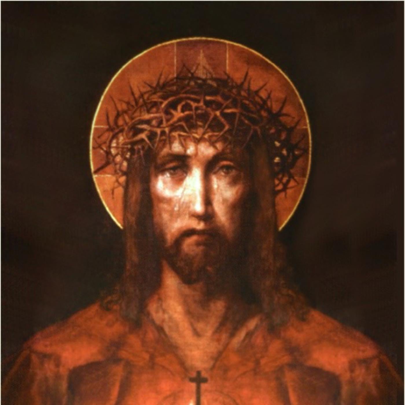 Homily 5th Sunday in Ordinary Time 2024 - Homilies of Father Brian ...