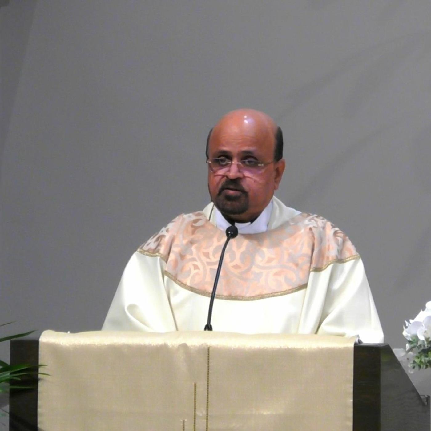 Fr. Ken: Most Holy Trinity - Homily Rewind from St. Margaret Mary ...