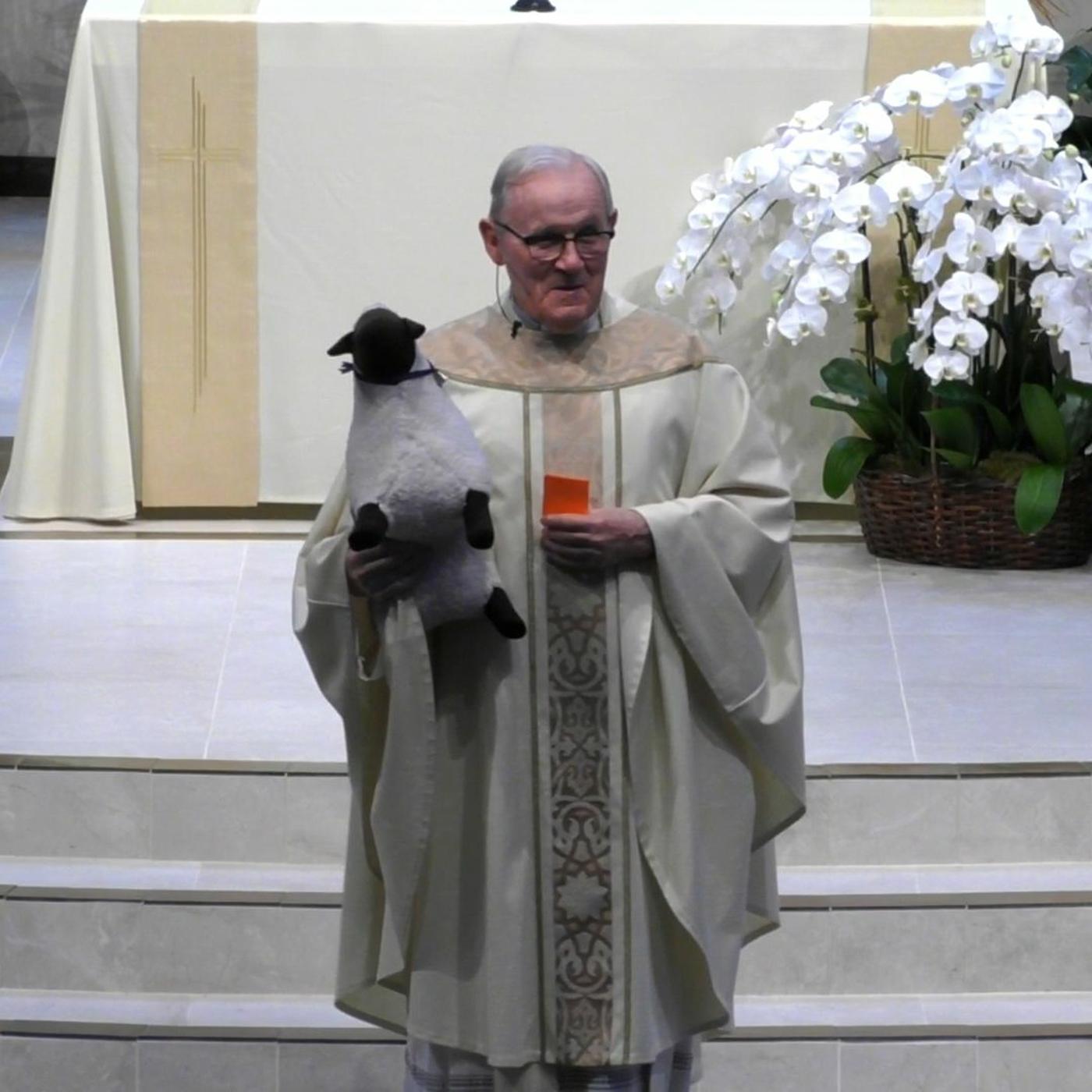 Fr. Ken: Thirtheenth Sunday in Ordinary Time - Homily Rewind from St ...