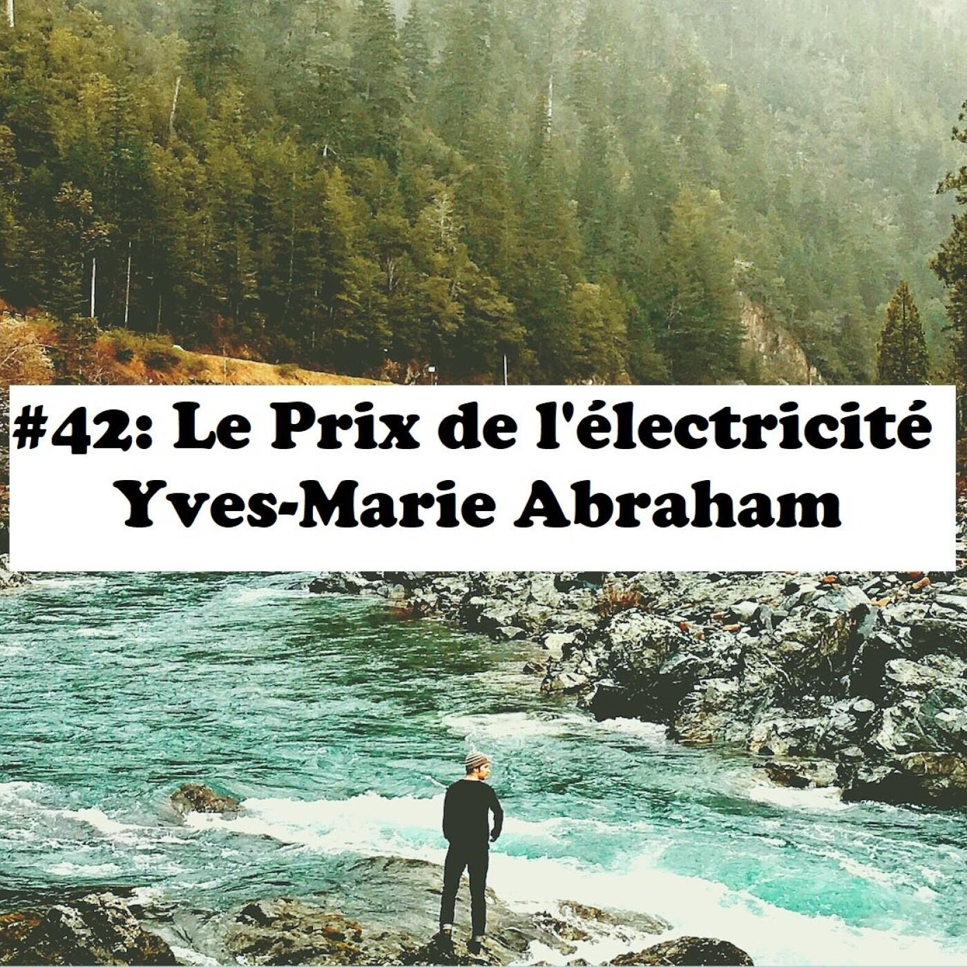 #42: Le prix de l'électricité - Yves-Marie Abraham - Homo Ethicus ...