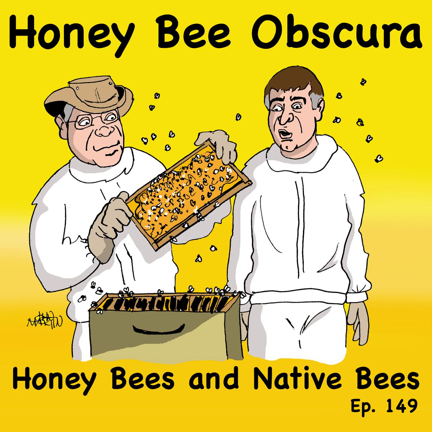 Honey Bees and Native Bees (149) - Honey Bee Obscura Podcast | Listen Notes