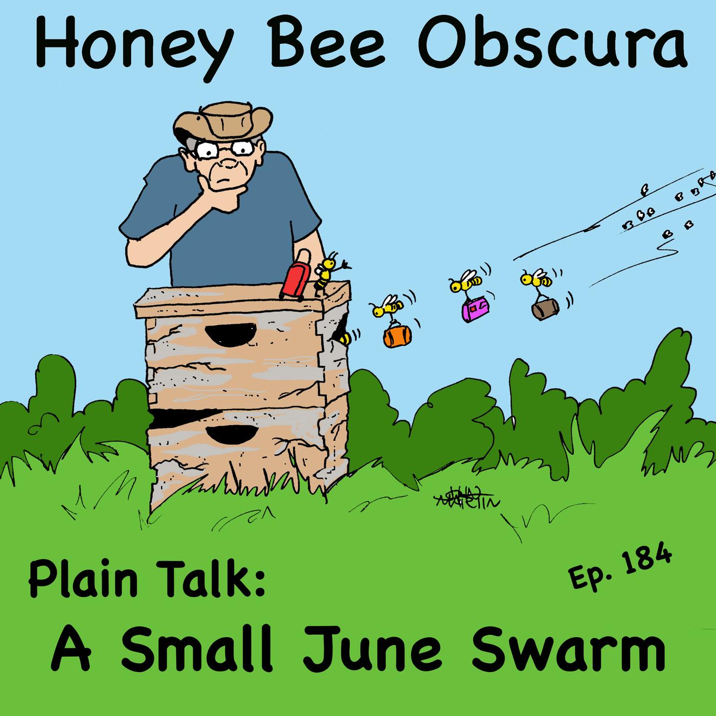Plain Talk: A Small June Swarm - Honey Bee Obscura Podcast | Listen Notes