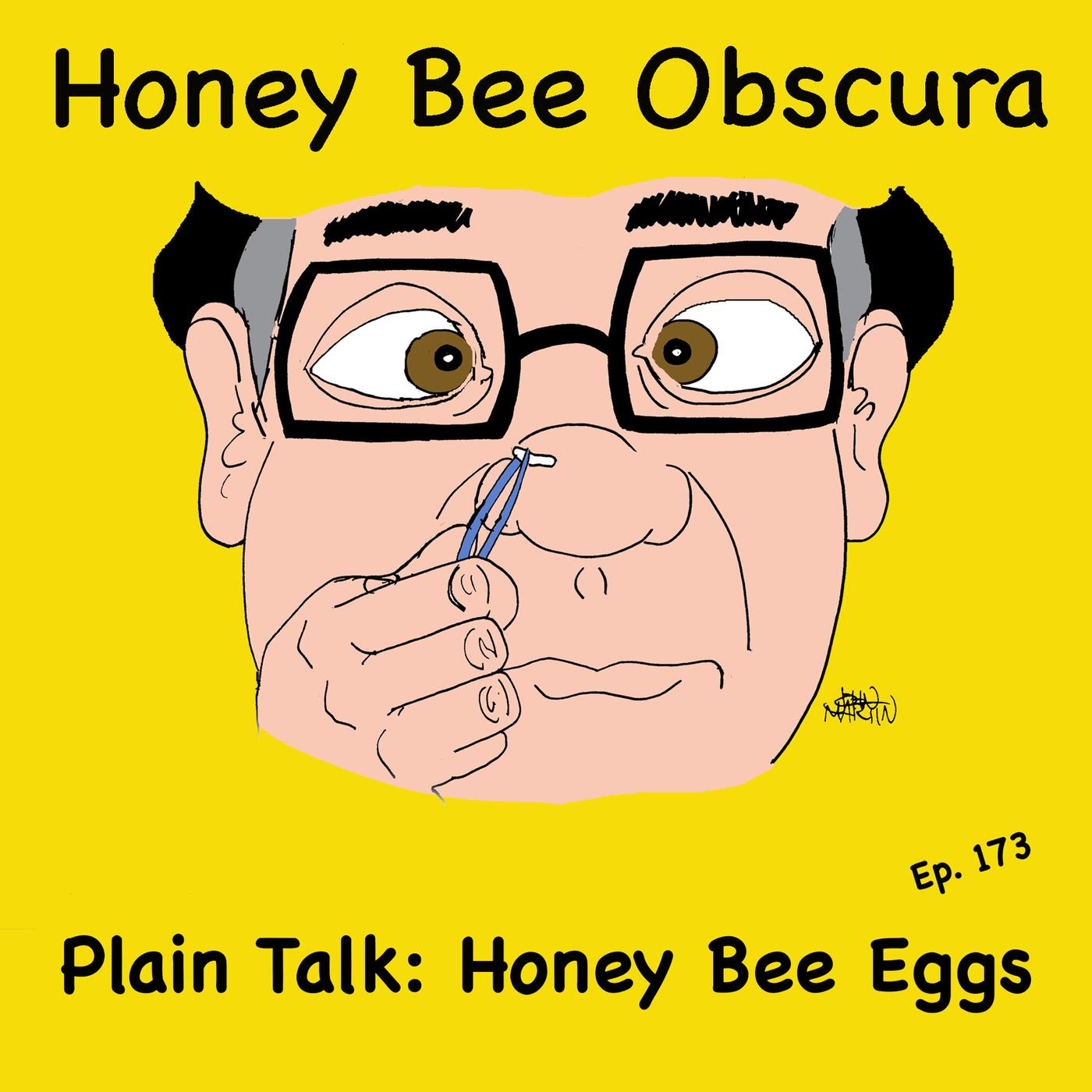 Plain Talk: A Small June Swarm - Honey Bee Obscura Podcast | Listen Notes