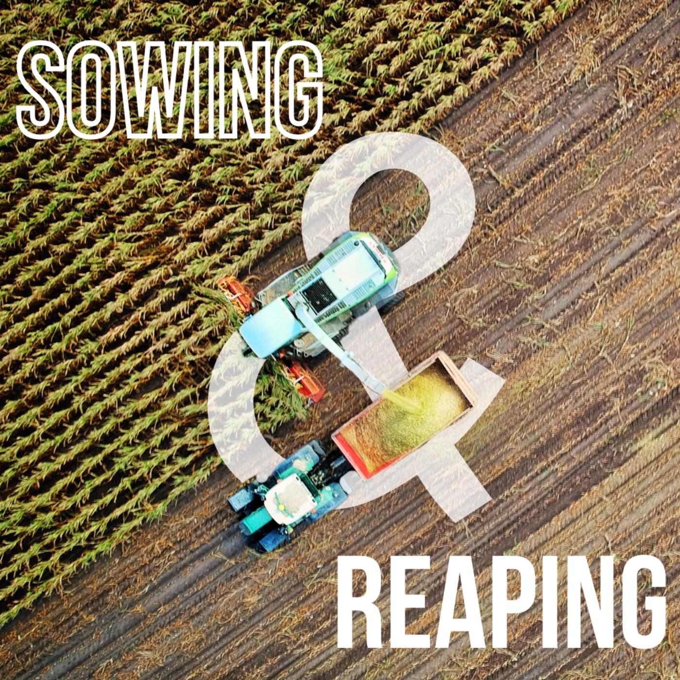 BEING CHURCH | Ephesians 4 | Matt MacDiarmid | Sunday 1st Sep | Listen ...