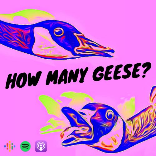 Geese on Tour: The Archer of Snakes - How many geese? (podcast ...