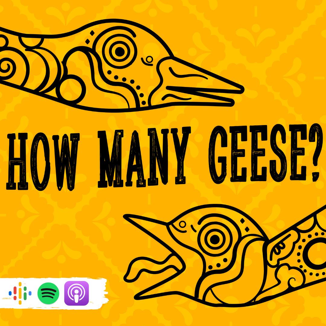 Mission Mexico: It’s Bird Time - How many geese? (podcast) | Listen Notes