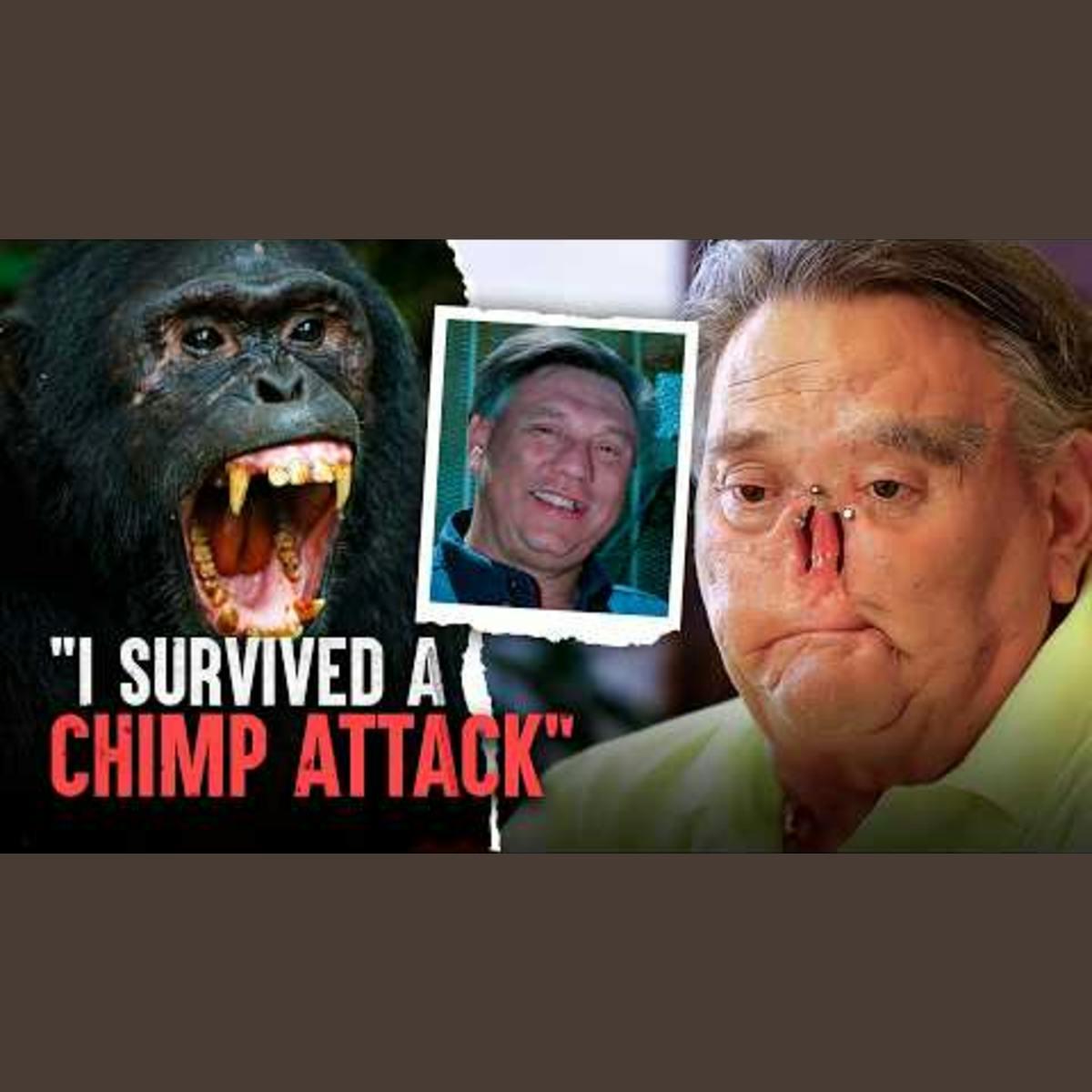Understanding the St. James Davis Tragedy: Deadliest Ape Attacks ...