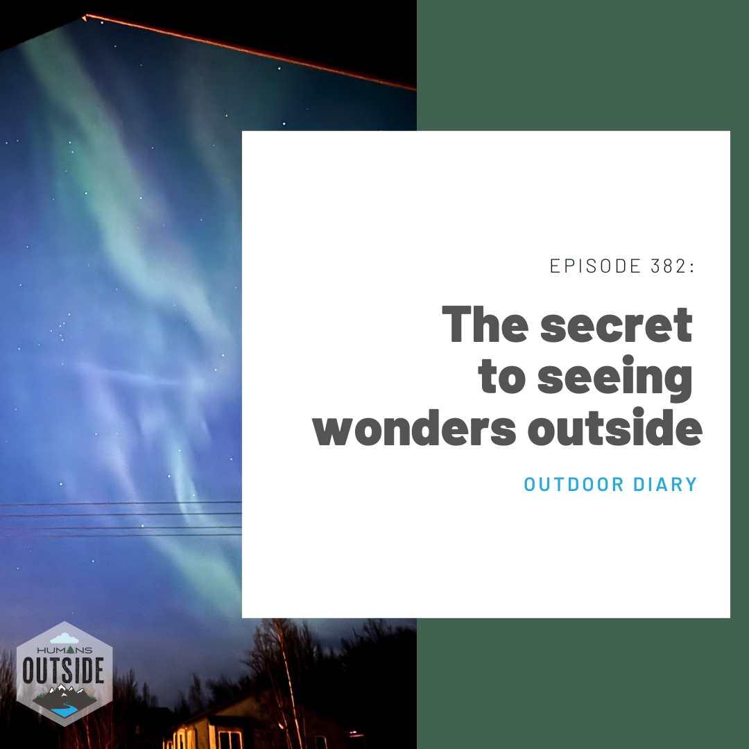 336 Grand Canyon Danger Part 2: Calming Down and an Important Ask ...