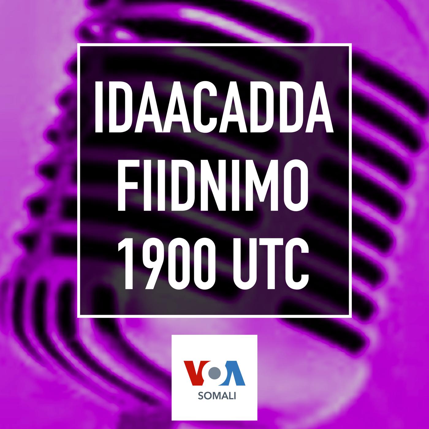 Idaacadda Fiidnimo - May 18, 2024 - Idaacadda Fiidnimo - VOA (podcast ...