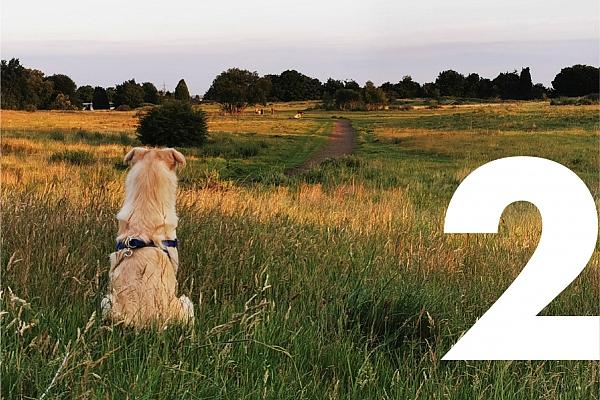 Annas Katras romāns "Vietējā stacija". 2. daļa - Ielūdz Radioteātris ...