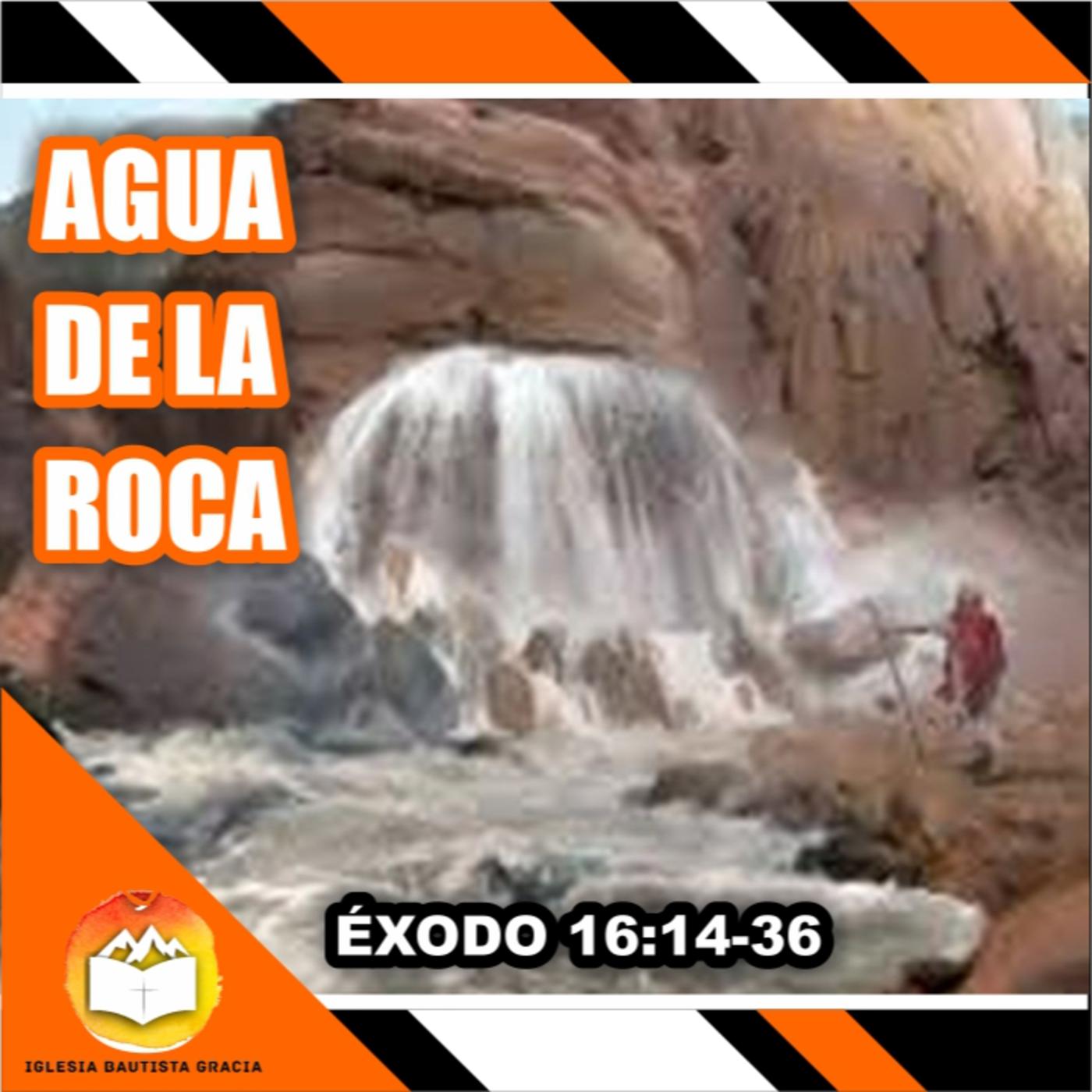 Exodo 18 1-12 | Jetro visita a Moisés | Estudio Bíblico Libro de Éxodo ...