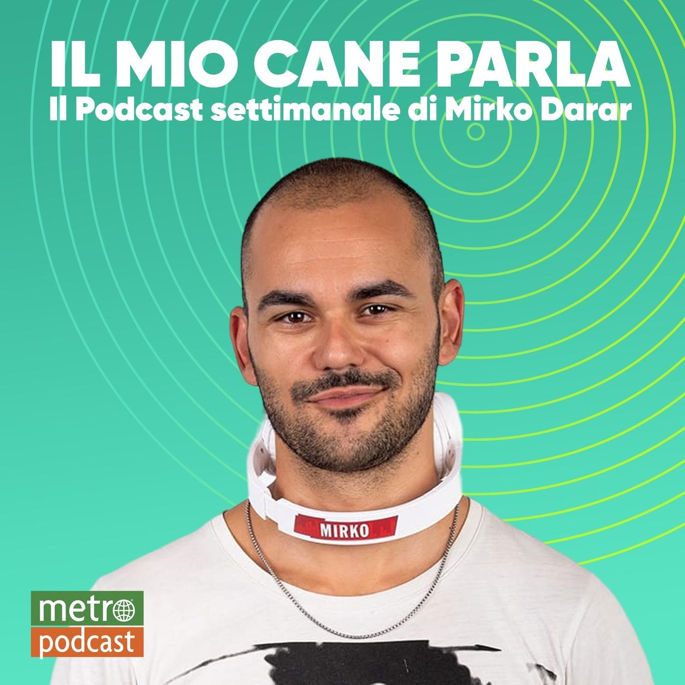 Come cane e gatto ep:10 - Il mio cane parla (podcast) | Listen Notes