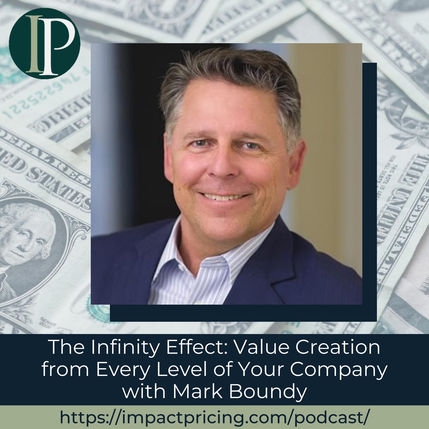 The Infinity Effect: Value Creation from Every Level of Your Company ...