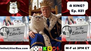 In the Litter Box (podcast) - Jewels Jones & Catturd | Listen Notes