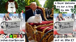 In the Litter Box (podcast) - Jewels Jones & Catturd | Listen Notes
