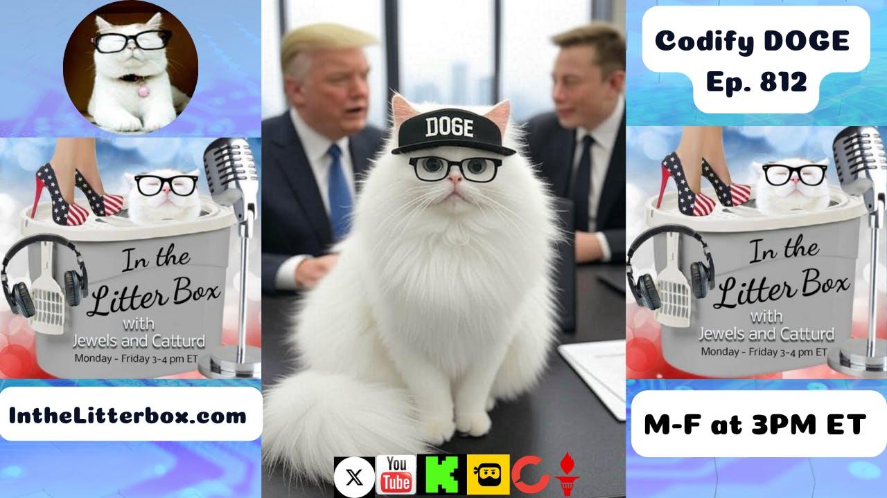 In the Litter Box (podcast) - Jewels Jones & Catturd | Listen Notes