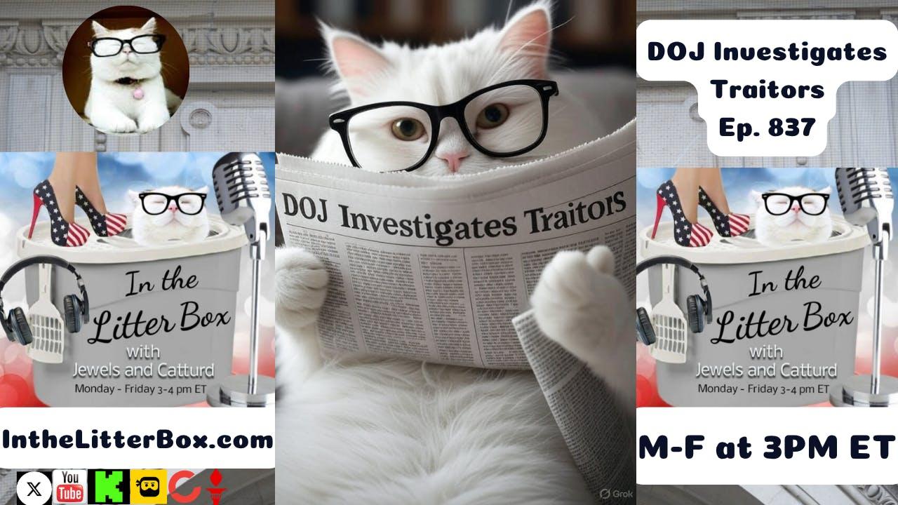 In the Litter Box (podcast) - Jewels Jones & Catturd | Listen Notes