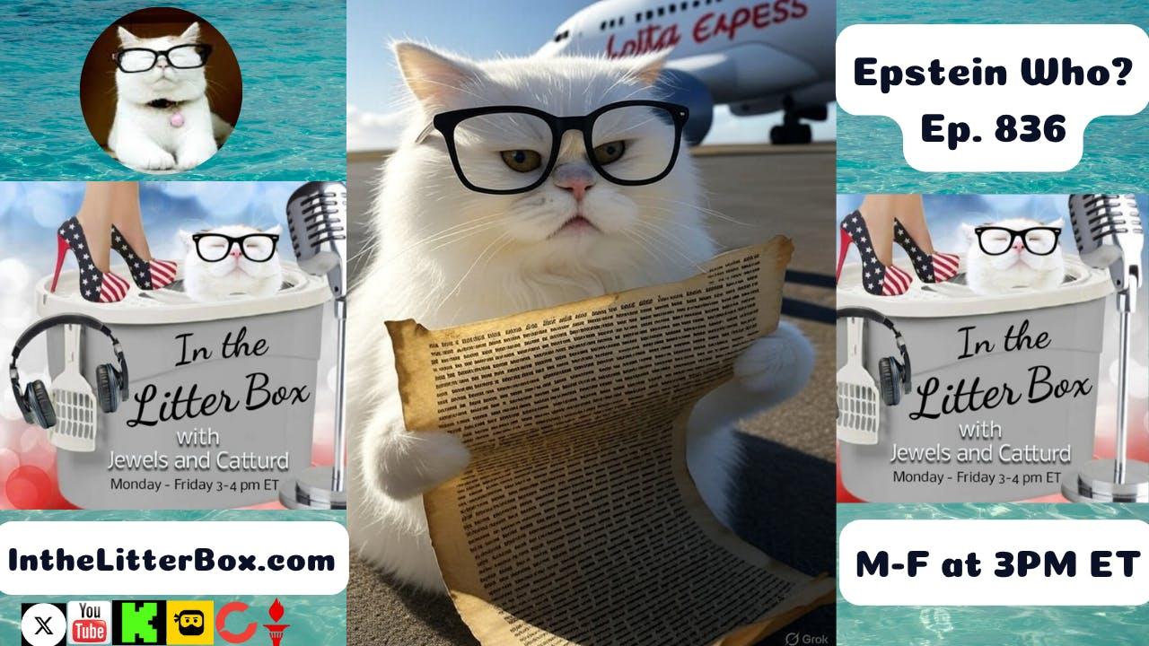In the Litter Box (podcast) - Jewels Jones & Catturd | Listen Notes