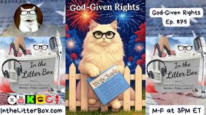 In the Litter Box (podcast) - Jewels Jones & Catturd | Listen Notes