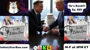 In the Litter Box (podcast) - Jewels Jones & Catturd | Listen Notes