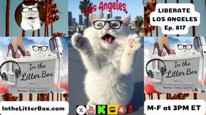 In the Litter Box (podcast) - Jewels Jones & Catturd | Listen Notes