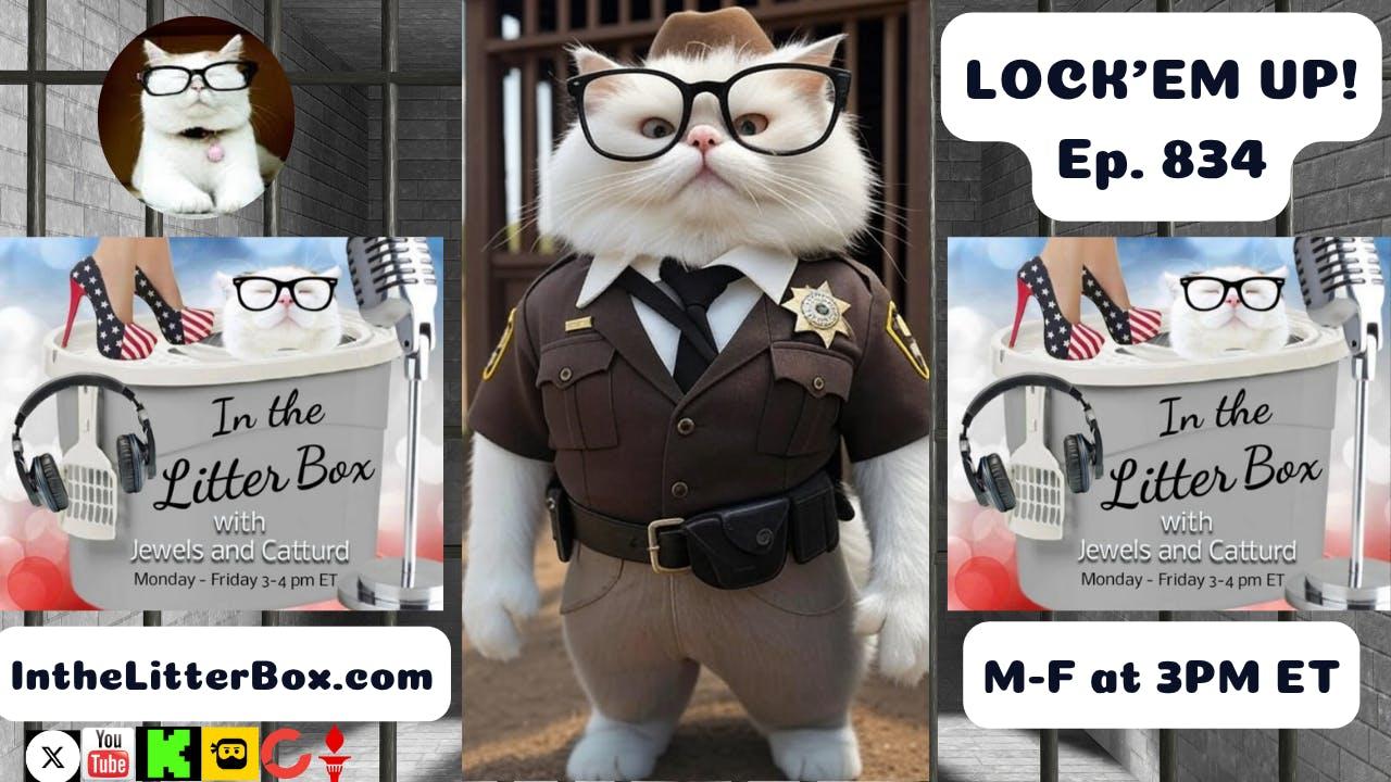 In the Litter Box (podcast) - Jewels Jones & Catturd | Listen Notes