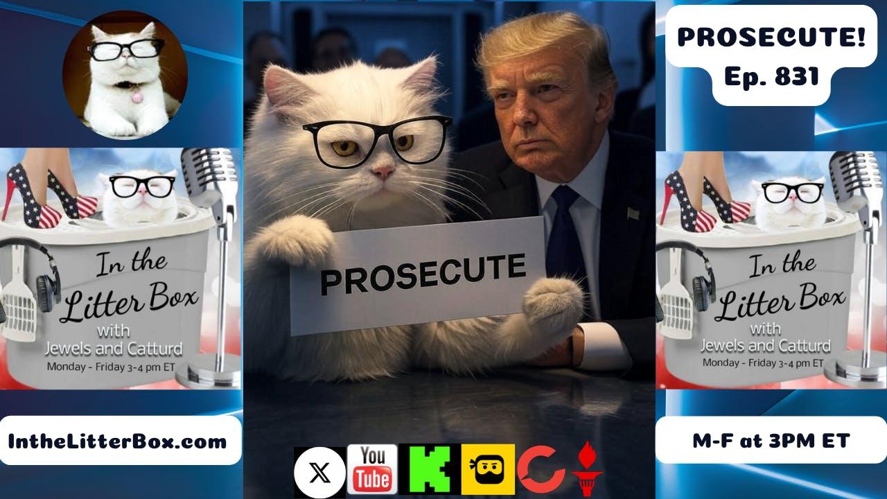 In the Litter Box (podcast) - Jewels Jones & Catturd | Listen Notes