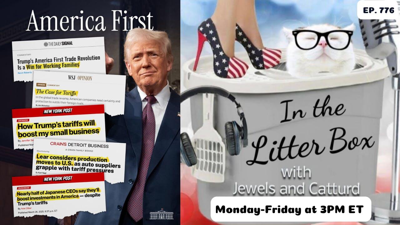 In the Litter Box (podcast) - Jewels Jones & Catturd | Listen Notes
