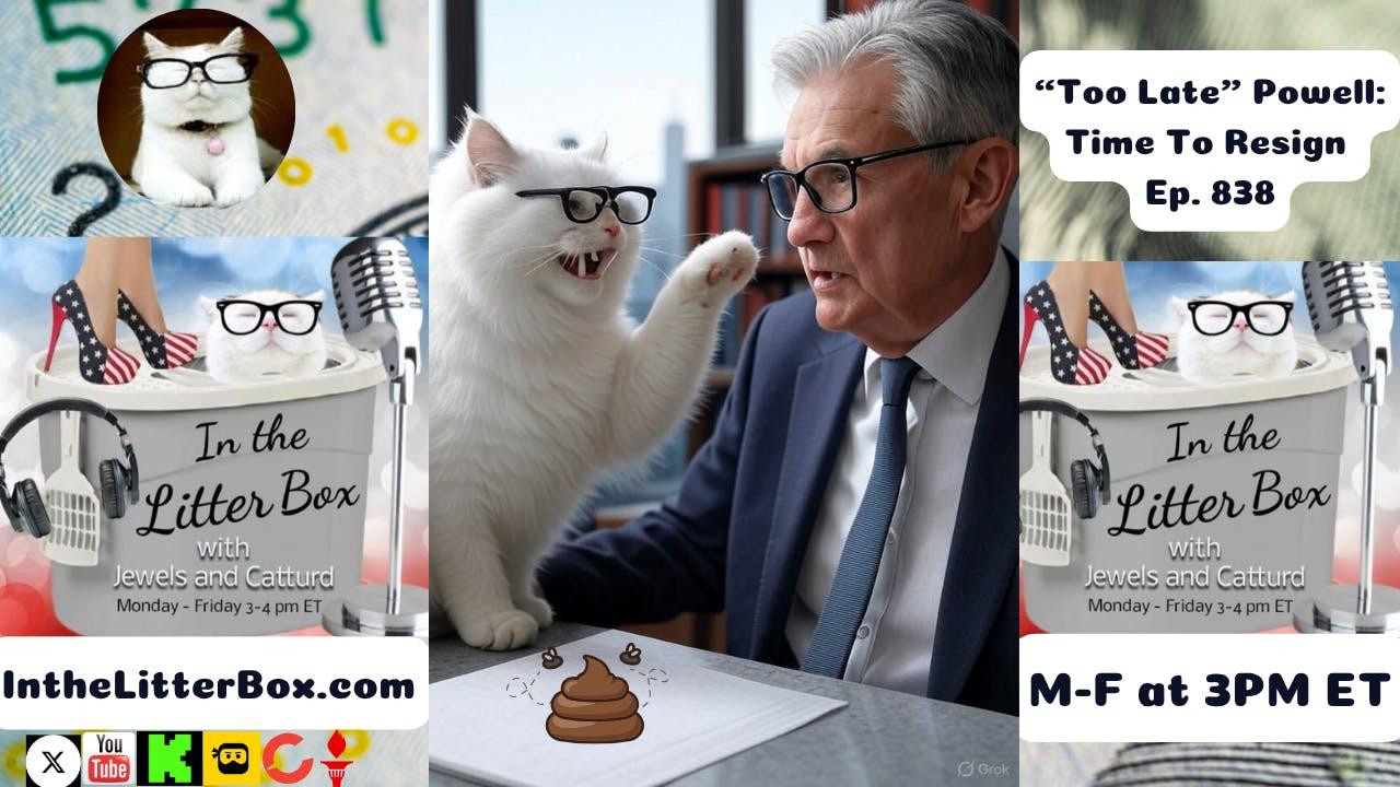 In the Litter Box (podcast) - Jewels Jones & Catturd | Listen Notes