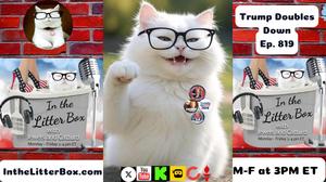 In the Litter Box (podcast) - Jewels Jones & Catturd | Listen Notes