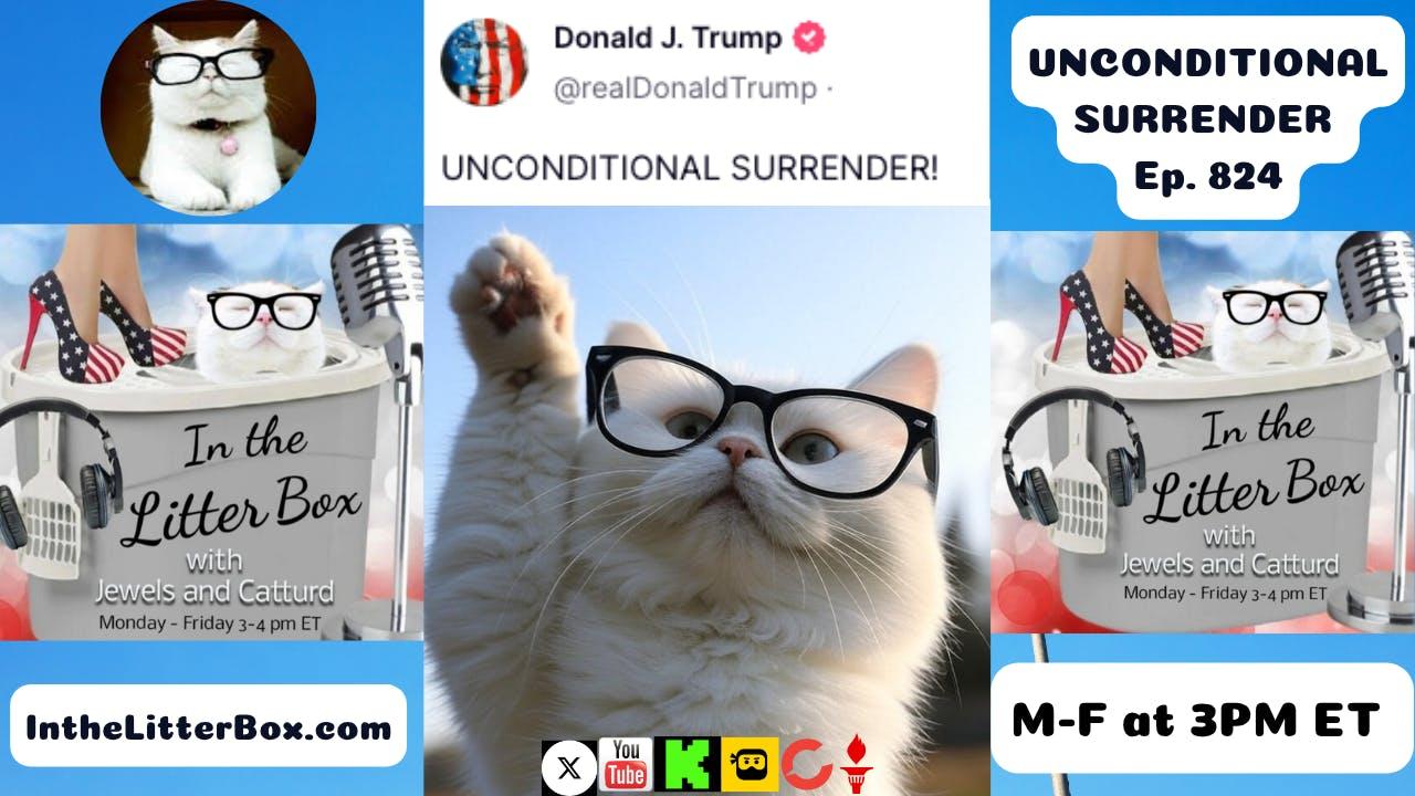 In the Litter Box (podcast) - Jewels Jones & Catturd | Listen Notes