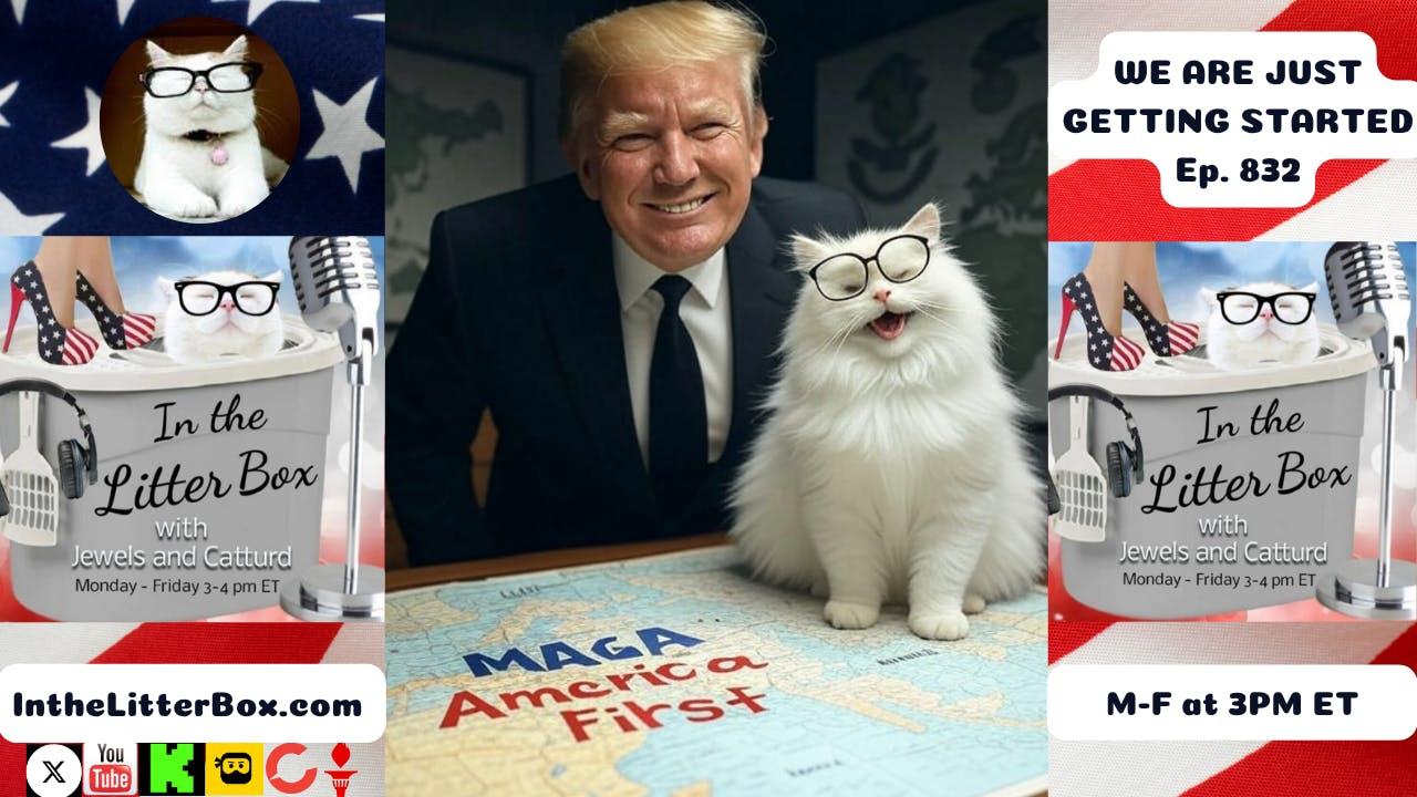 In the Litter Box (podcast) - Jewels Jones & Catturd | Listen Notes