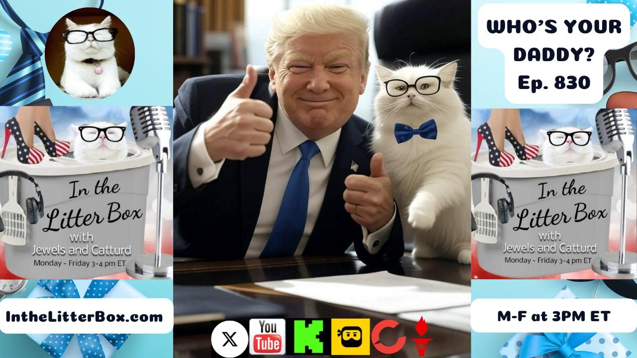 In the Litter Box (podcast) - Jewels Jones & Catturd | Listen Notes
