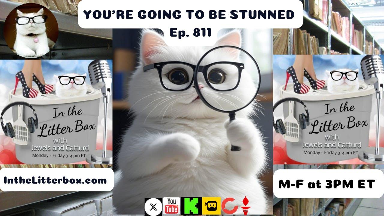 In the Litter Box (podcast) - Jewels Jones & Catturd | Listen Notes
