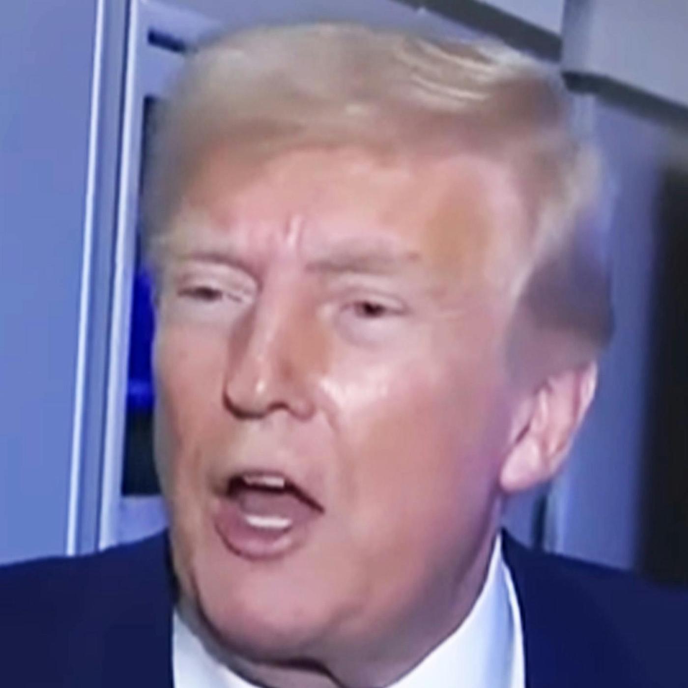 10 Democrats Backstab Al Green - Indisputable with Dr. Rashad Richey ...