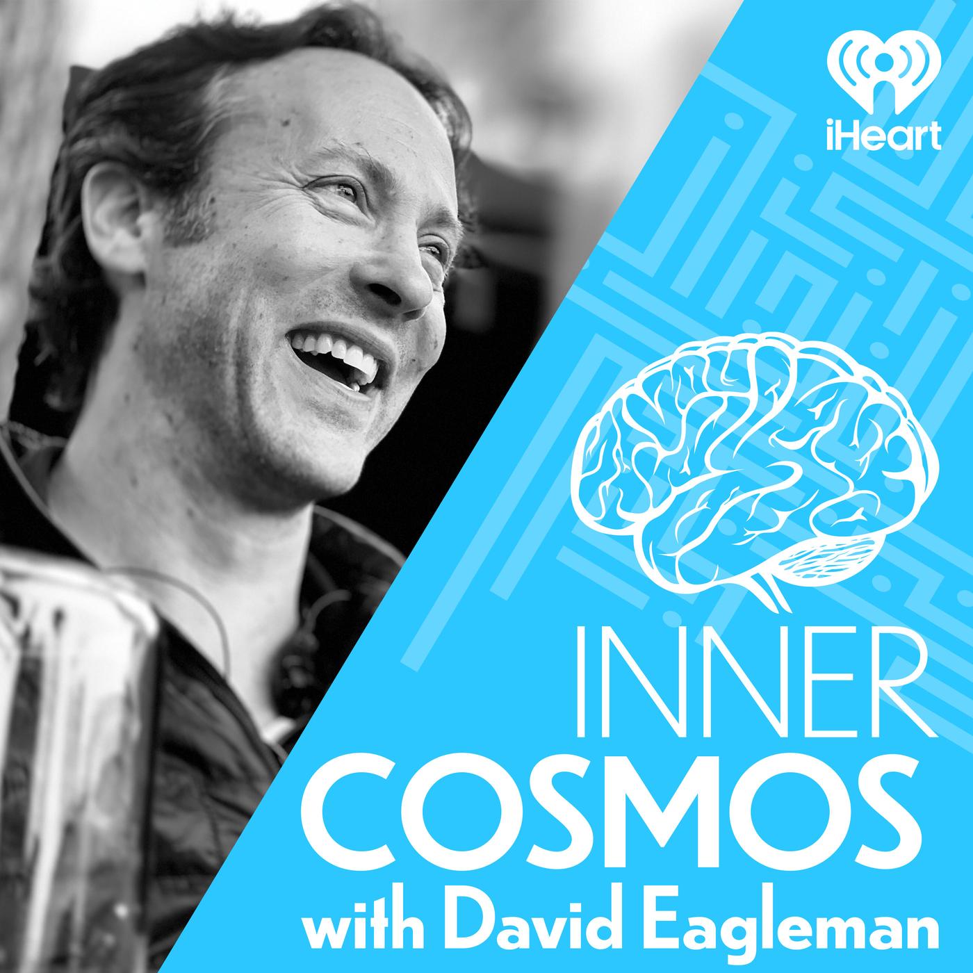 Inner Cosmos with David Eagleman (podcast) - iHeartPodcasts | Listen Notes