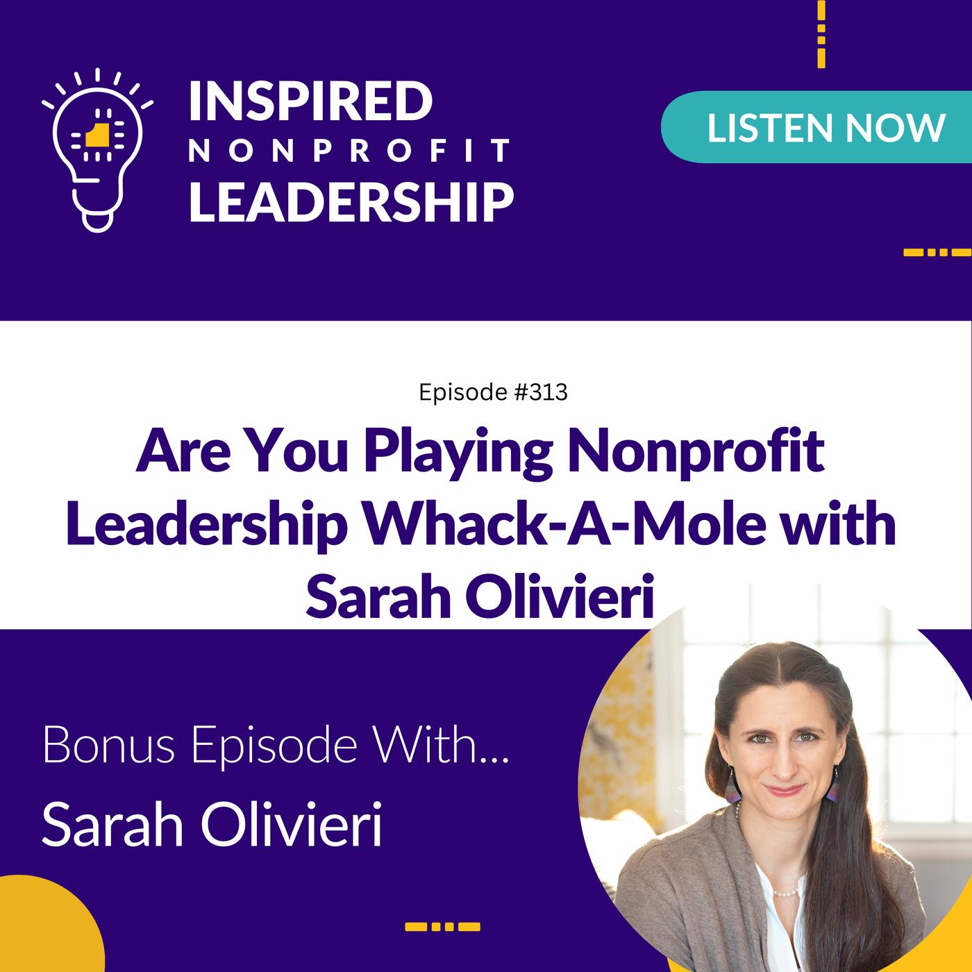 313: Are You Playing Nonprofit Leadership Whack-A-Mole with Sarah ...