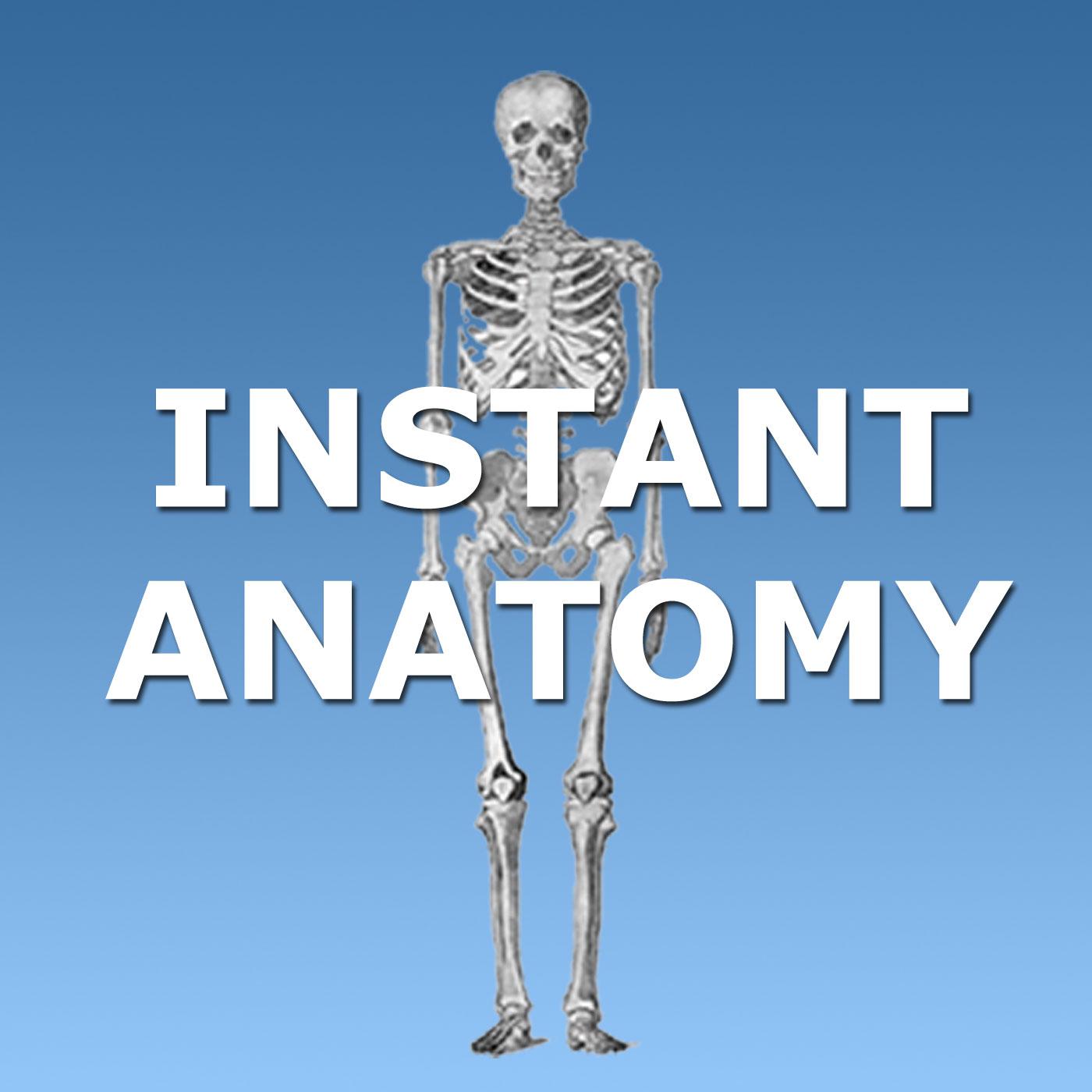 Instant Anatomy (podcast) - Dr Robert Whitaker | Listen Notes