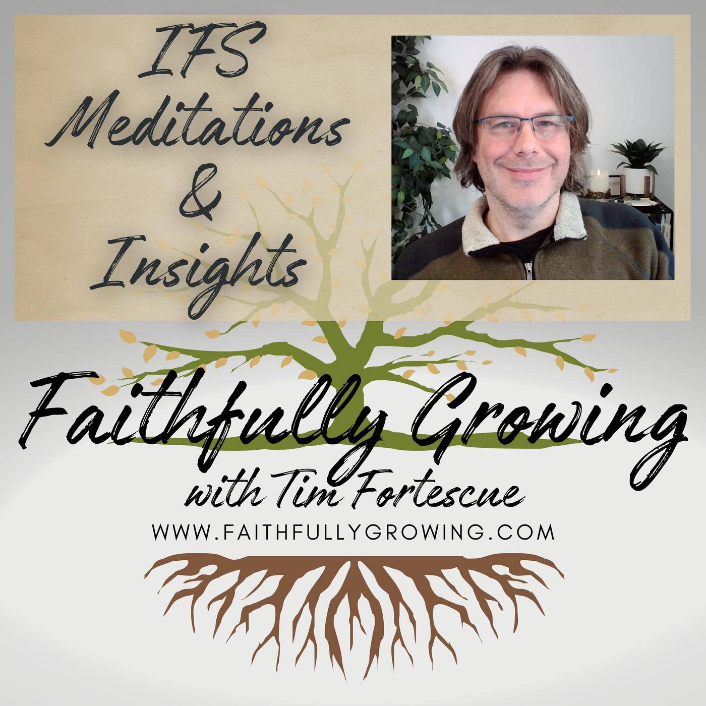 Internal Family Systems (IFS) Meditations and Insights: Faithfully ...