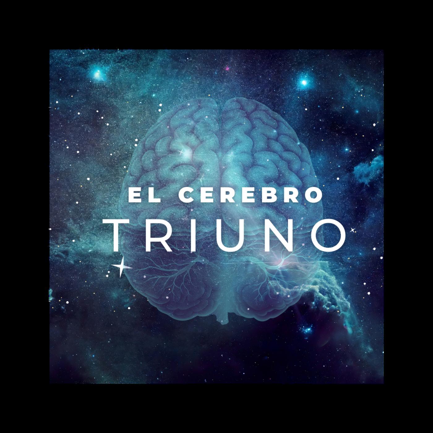 CLASE #4: LA HISTORIA DEL HOMBRE QUE CONVERSÓ CON DIOS (Y LO QUE LE ...