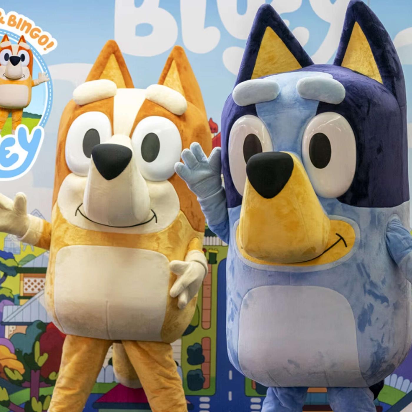 Bluey is coming to Ipswich Show, new rides and bigger fireworks, city's ...