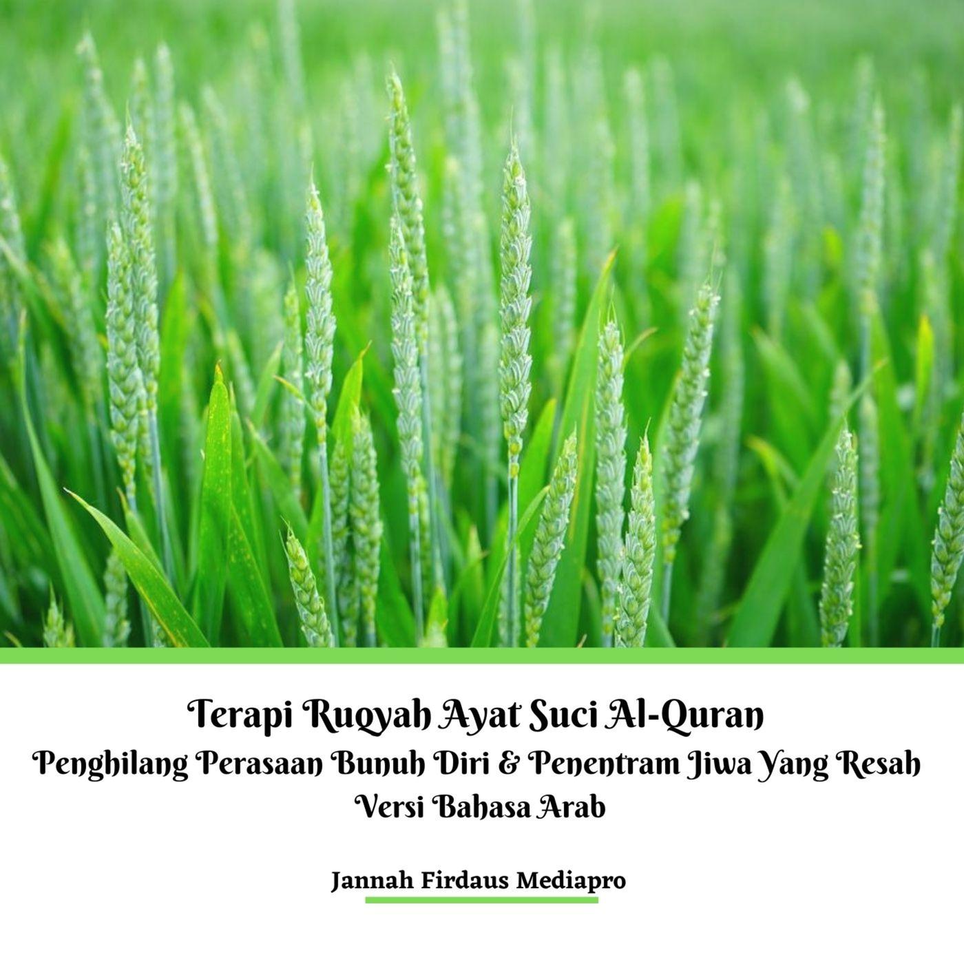 The Meaning of Surah 112 Al-Ikhlas The Pure Monotheism (纯一神教) From The ...