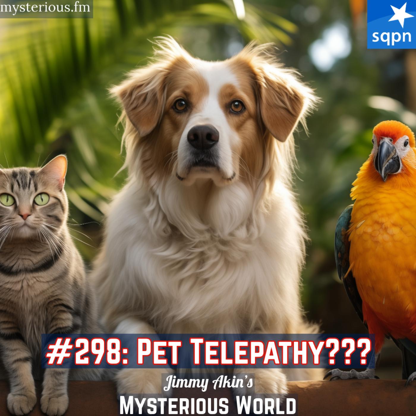 Countdown to Pearl Harbor? (FDR, Advance Knowledge) | Listen Notes