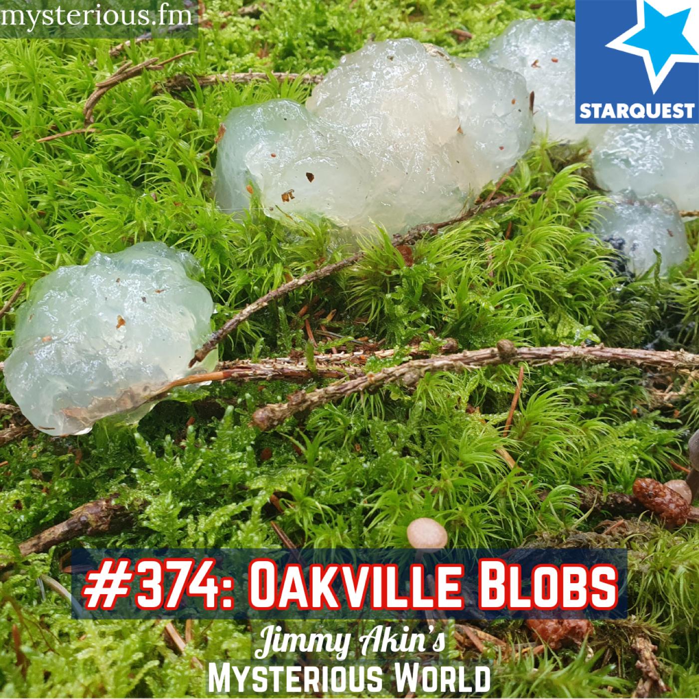 Jimmy Akin's Mysterious World (podcast) - Jimmy Akin | Listen Notes