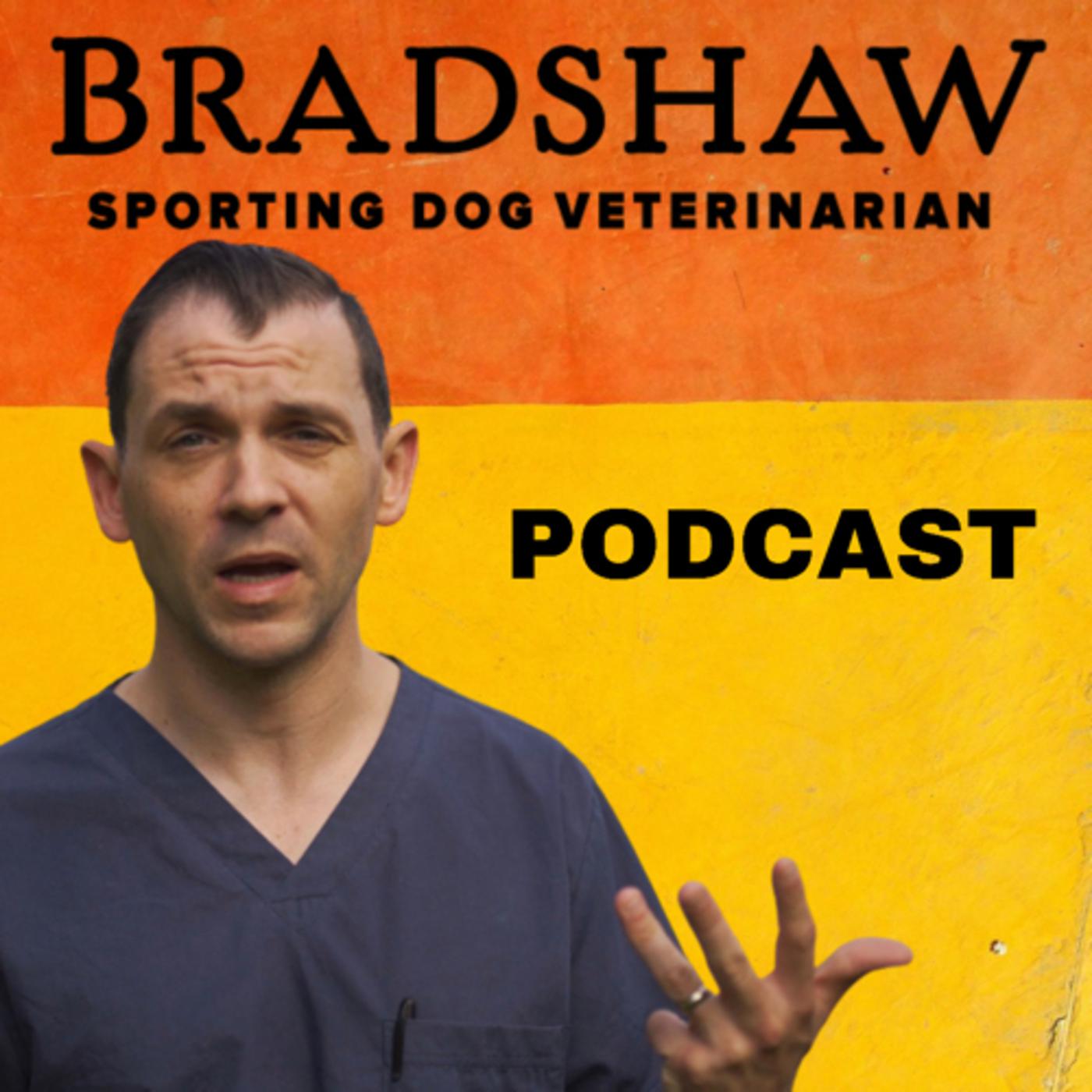 Welcome! - Jonathan Bradshaw : Sporting Dog Veterinarian (podcast ...