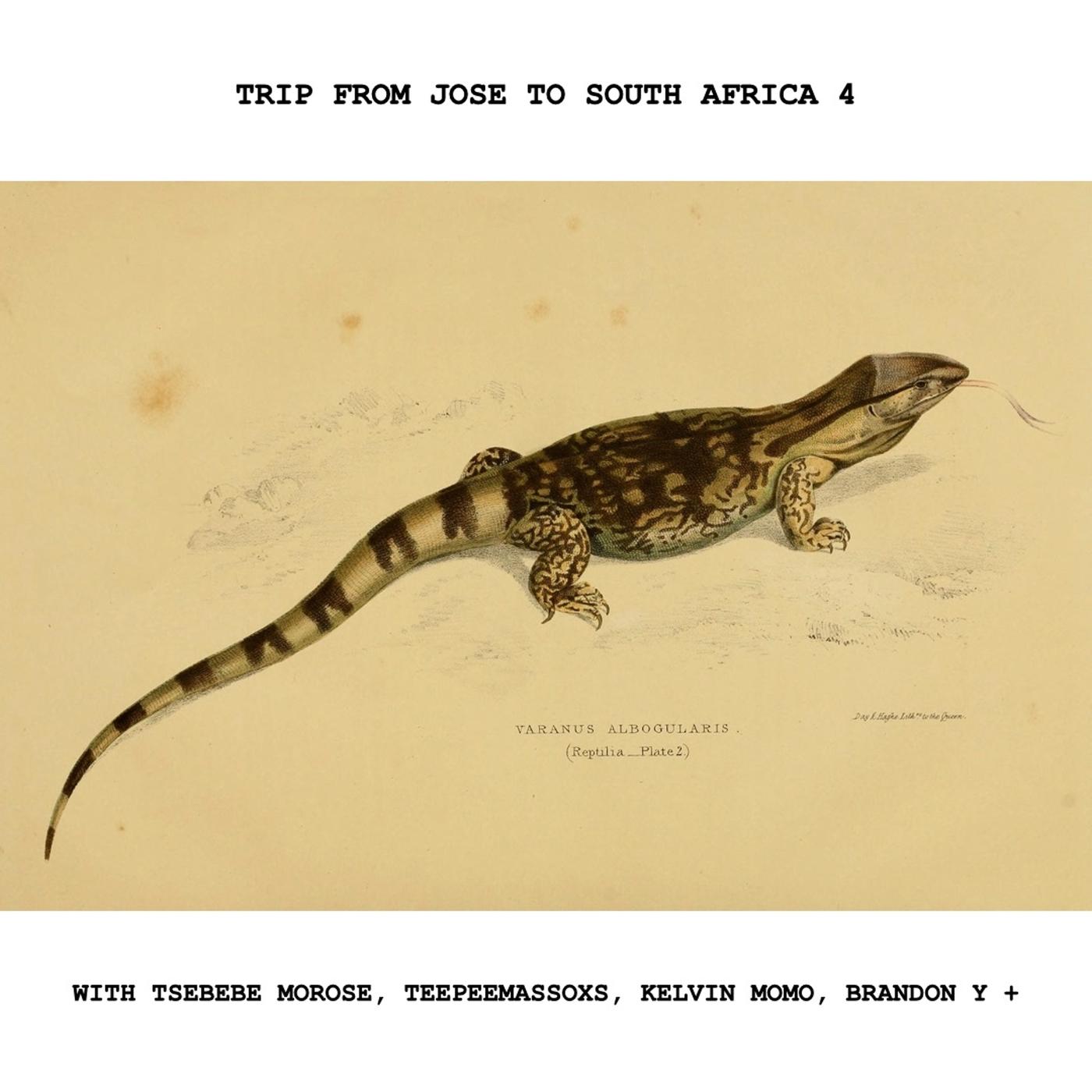 Trip from Jose to South Africa 4 with Tsebebe Moroke, TeepeeMassoxs ...