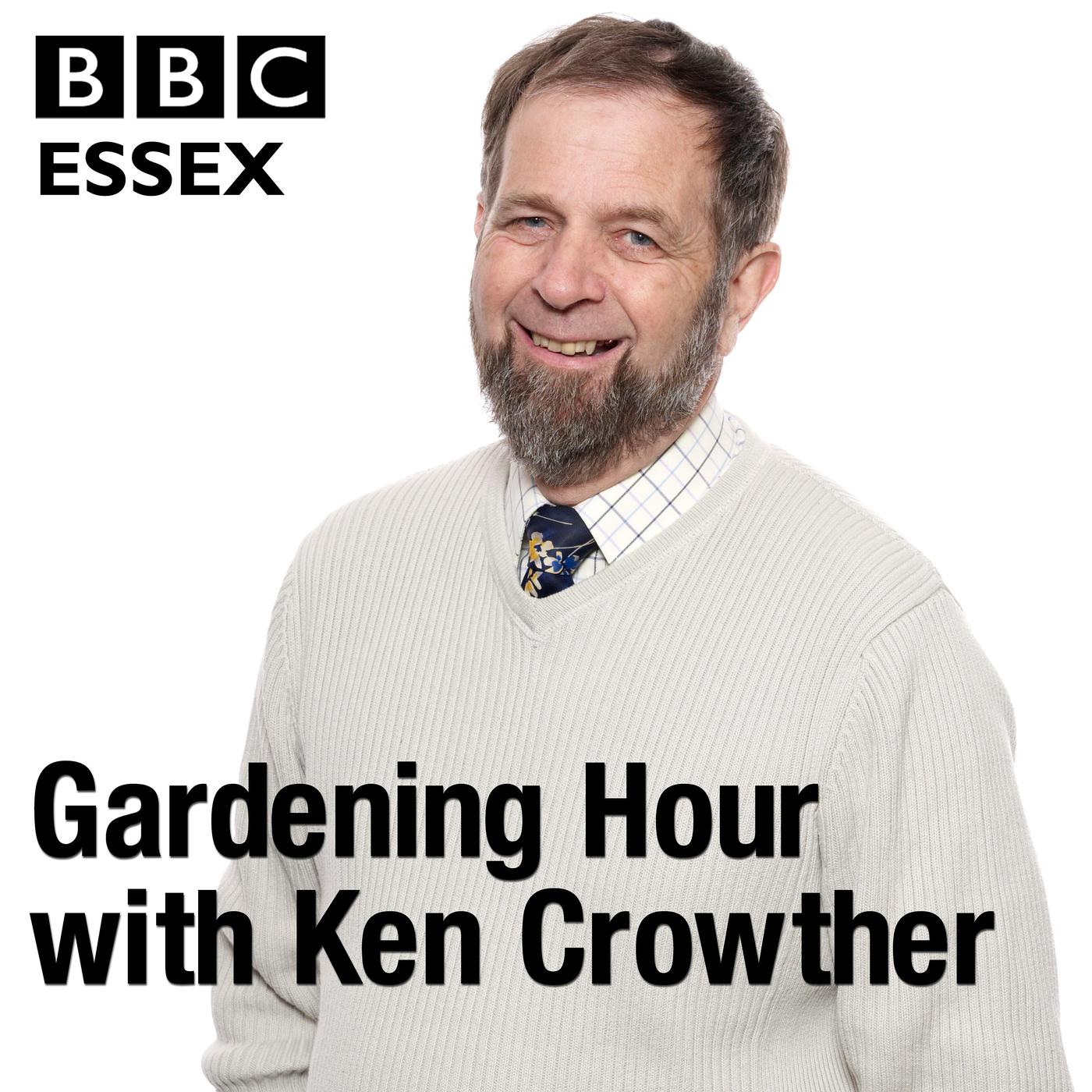 Clematis and Mushroom Plants - Ken Crowther's Gardening Podcast ...