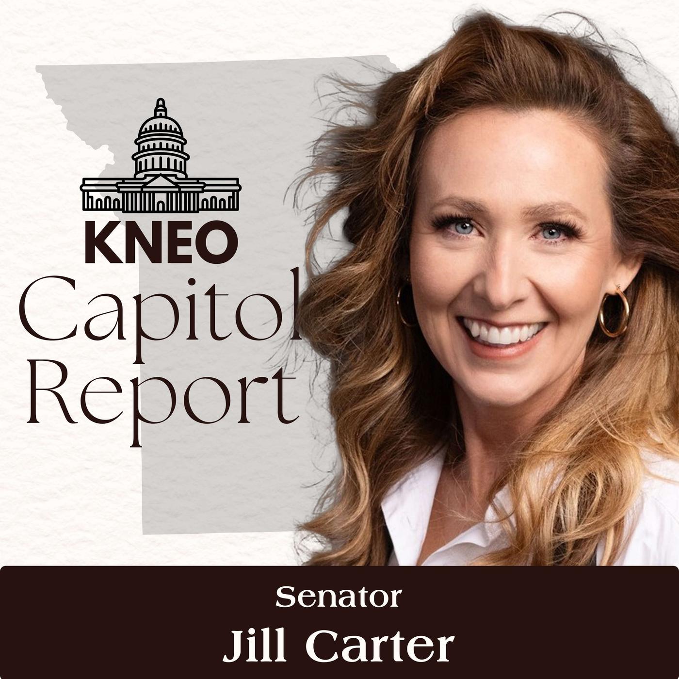 Jill Carter: Today is the Missouri 2024 Presidential Preference Caucus ...