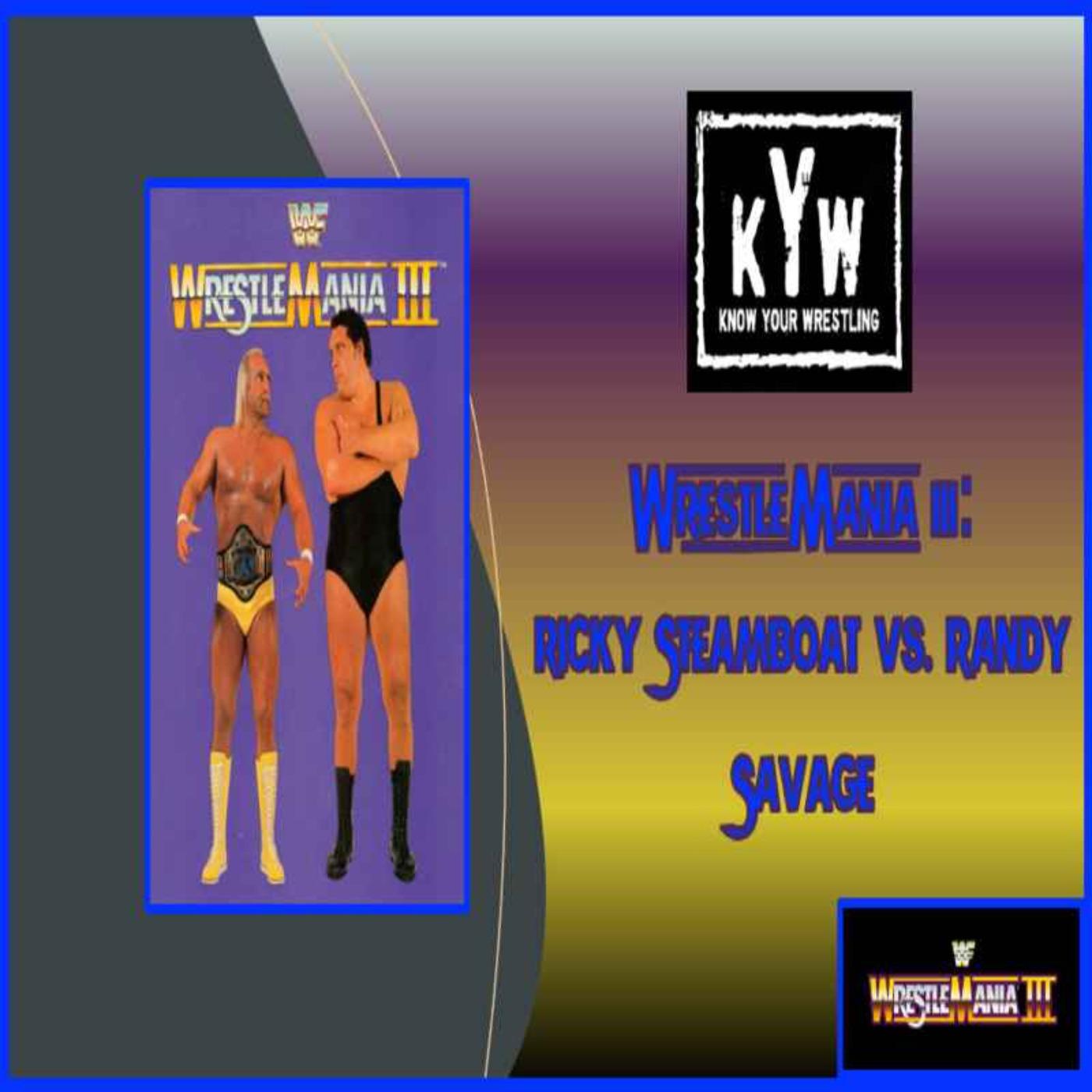 WrestleMania II: Hulk Hogan vs. King Kong Bundy - Know Your Wrestling ...