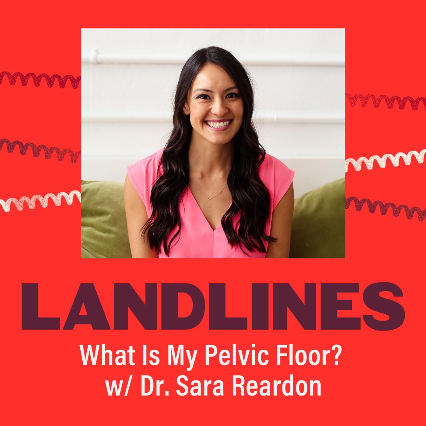 Landlines with Allison Williams (podcast) - Headgum | Listen Notes